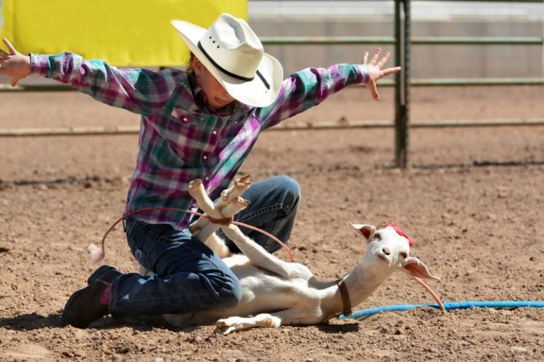 The Secret Life of Rodeo Goats - Goat Journal